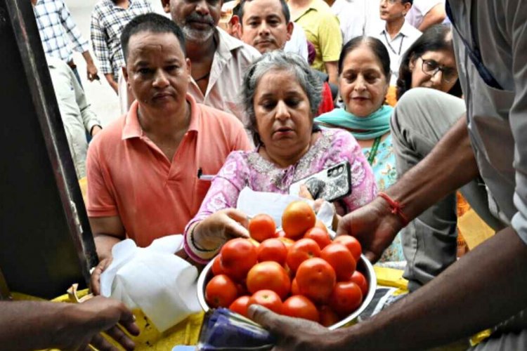 tomato sale starts in delhi ncr at the rate of rs 65 per kg consumers ...