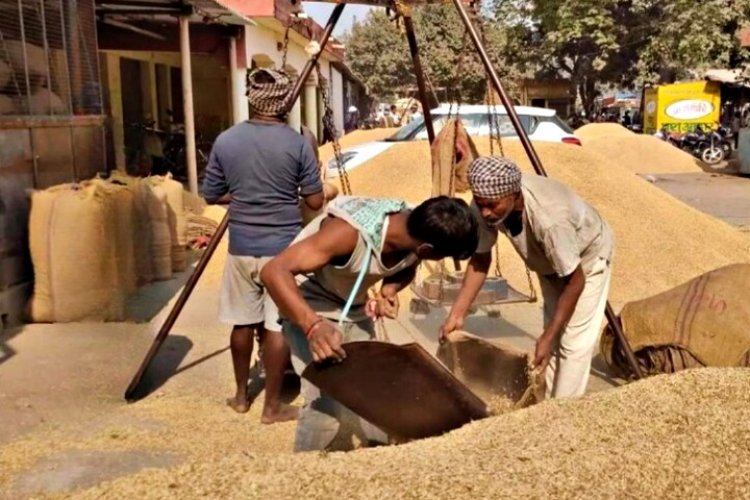 registration for paddy purchase starts in uttar pradesh purchase will ...