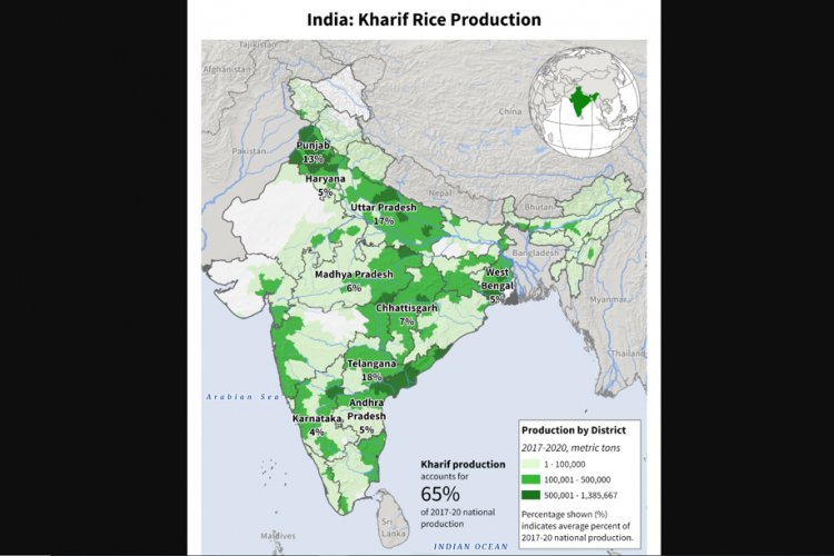 usda estimates record rice production in india cotton area reduced ...