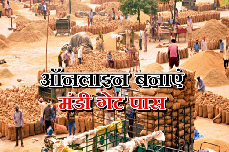 mandi gate pass will be made online in haryana download this app ...